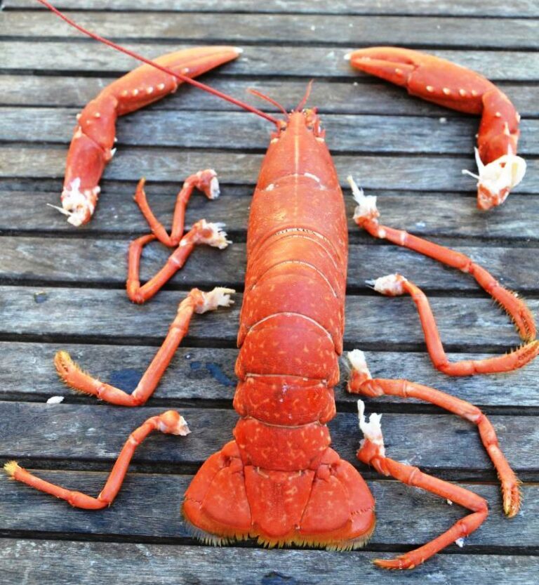 Hummer Bisque - Hummersuppe - Kochen aus Liebe